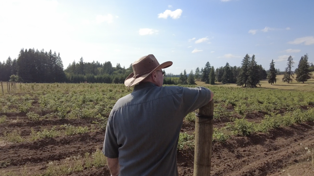 Farmer Bob | Regenerative Agriculture